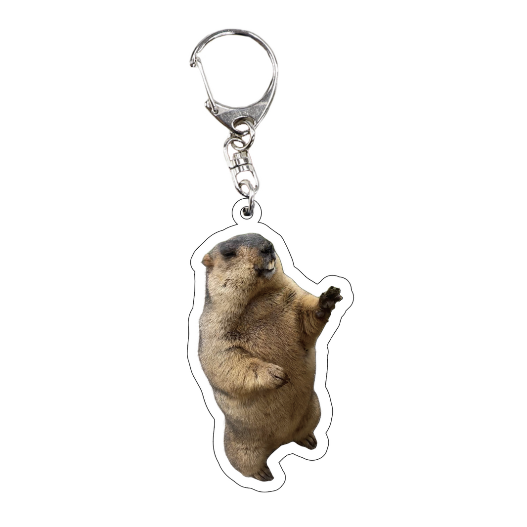 マーモットはペットにできるの？日本で会えるの？ – Dr. Marmot - ドクターマーモット