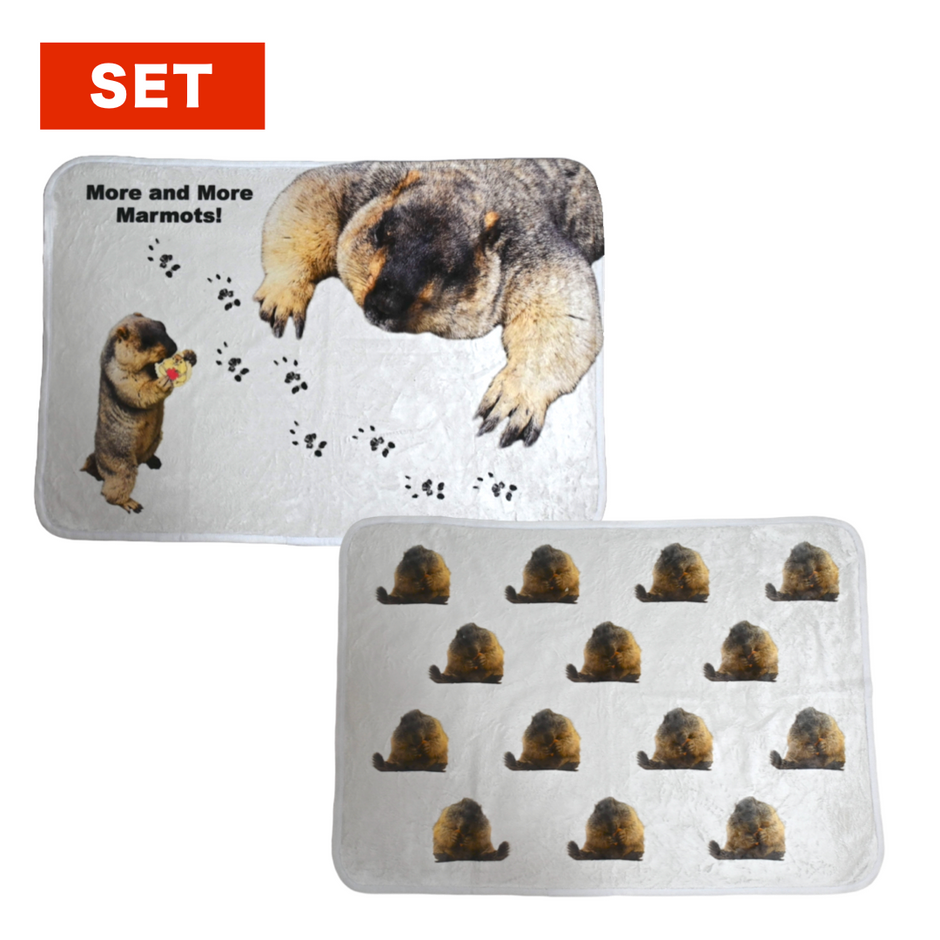 24. ヒマラヤマーモットをお迎えするまでの今の状況 Part4（24. The Current Situation before Welc ...