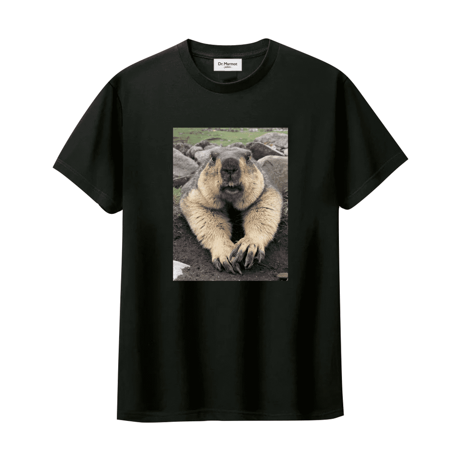 マーモット博士 – Dr. Marmot - ドクターマーモット